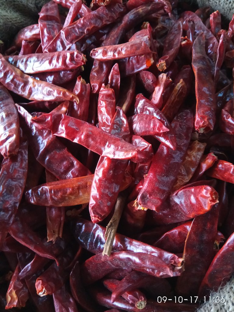 Cabe Merah Kering