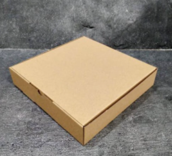 SC RESTU ASAL - Jual Dus Pizza 25x25x5 isi 10 pc Corrugated Kotak ...