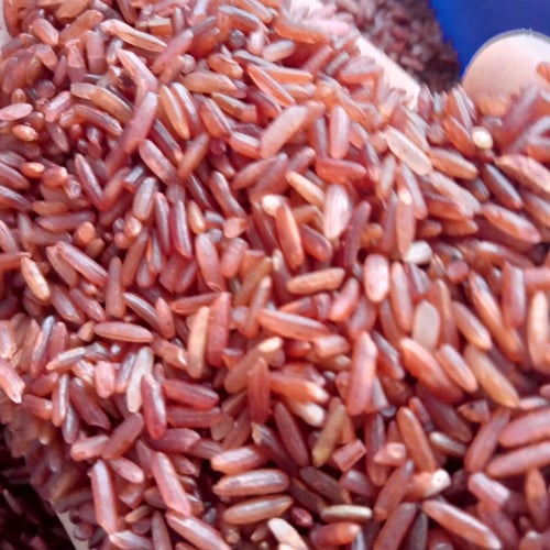 instrument go - Jual BERAS MERAH 25KG PULEN | Ralali.com